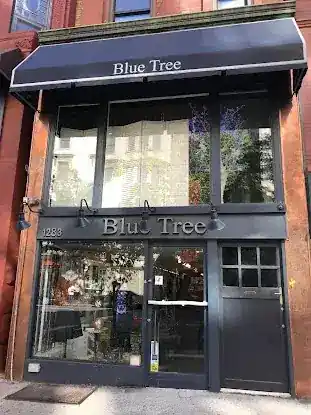 Blue Tree - Upper East Side Manhattan | Manhattan NYC