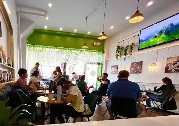 Best Affordable Coffee Shops in Manhattan | Manhattan NYC Blog