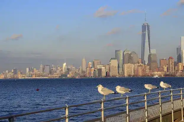 Nova York com Guia Ray - Downtown Manhattan | Manhattan NYC