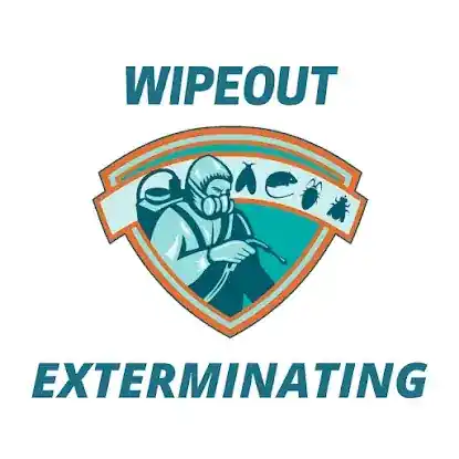 Wipeout Exterminating NYC - Midtown Manhattan | Manhattan NYC